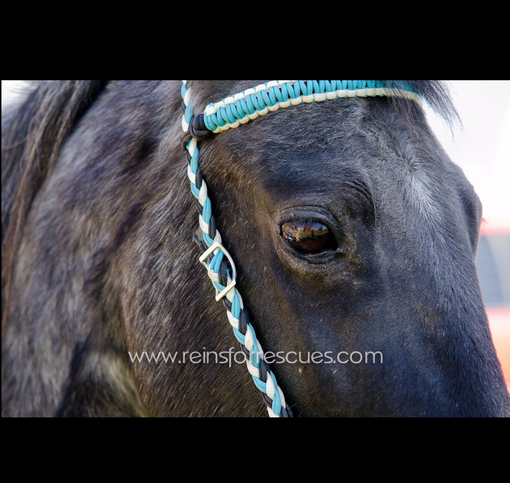 Custom Paracord Headstall with Matching Reins Option – Reins for Rescues